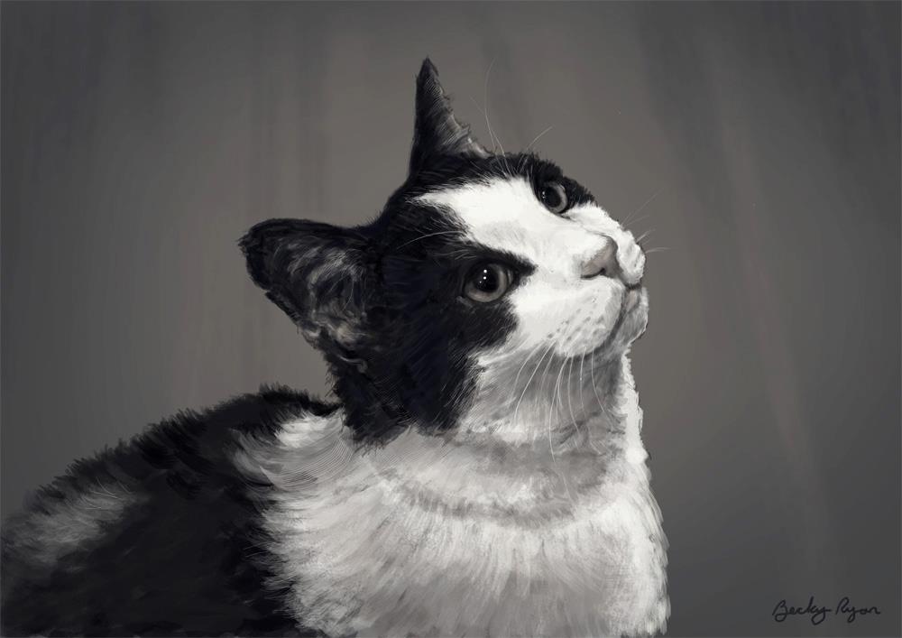 Becky Ryan Art and Illustration » Becky Ryan Photography